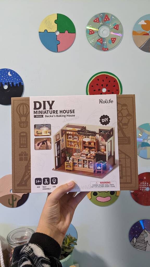 Diy mini house!! - Personal spaces 👤 - Ribblr community