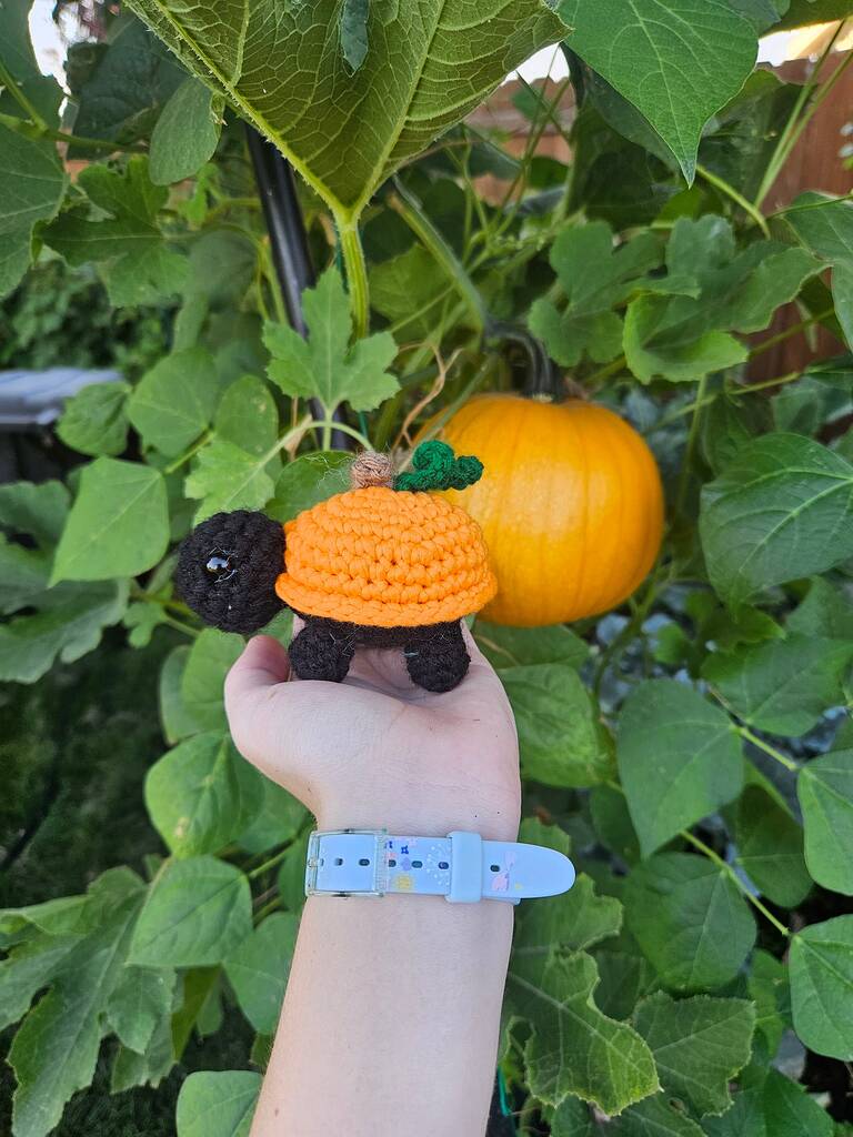 Closed - Tester call for Crochet: Pumpkin Tortoise - Testing zone ...