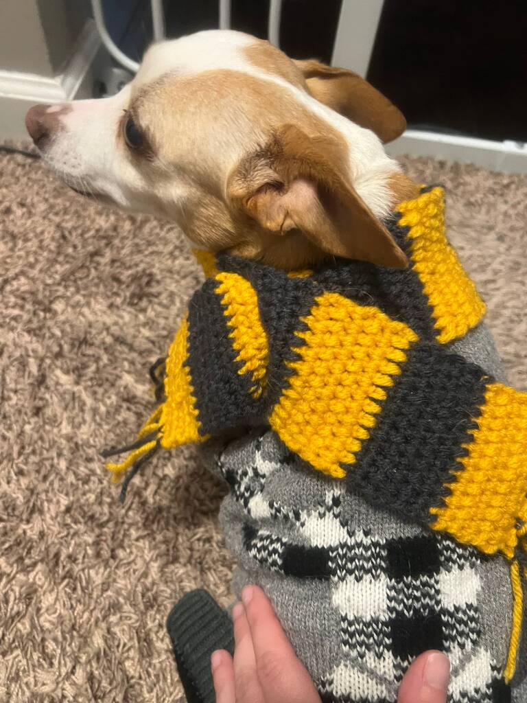 Unnecessary Makes - crochet - Ribblr community