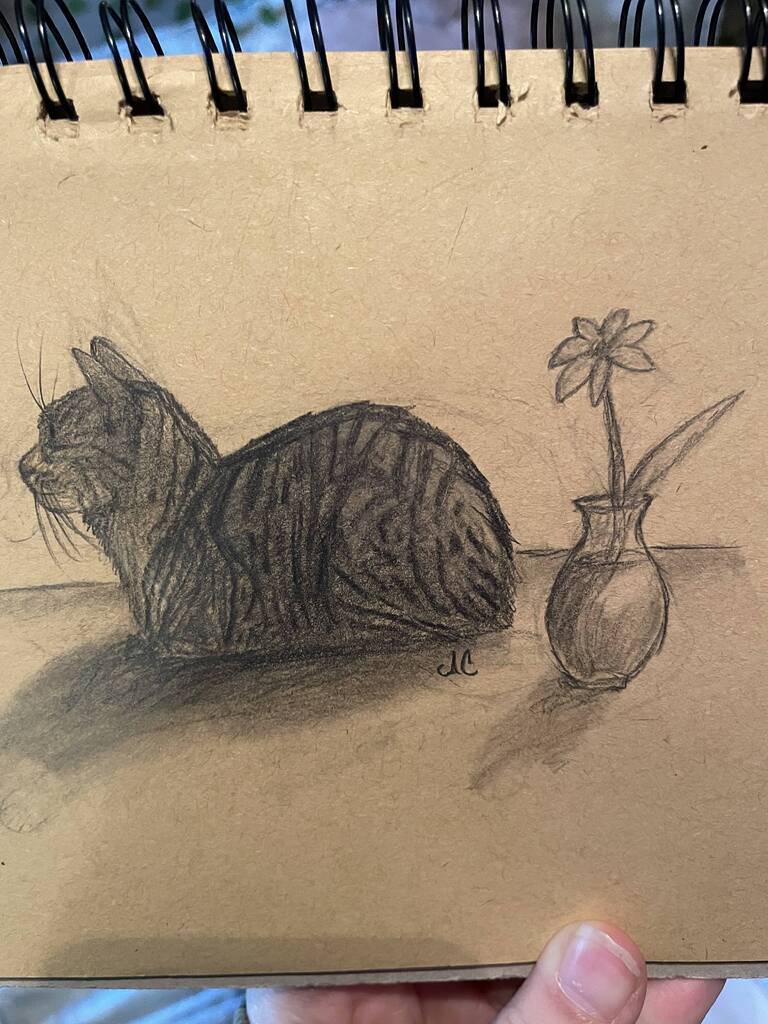 Cat Loaf Drawing - Art Creative Corner - Ribblr community