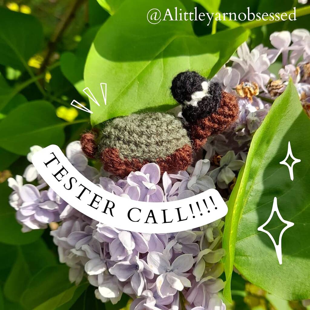 Fancy tortoise tester call!! {CLOSED} - Testing zone - Ribblr community