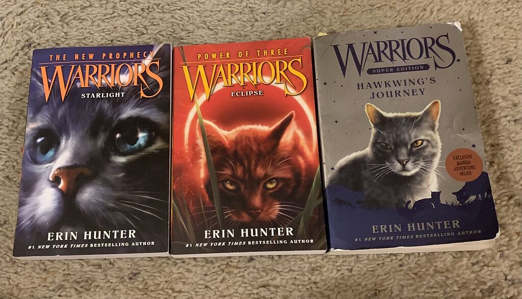 Pattern interest?! Warrior cats themed patterns (book by Erin Hunter ...