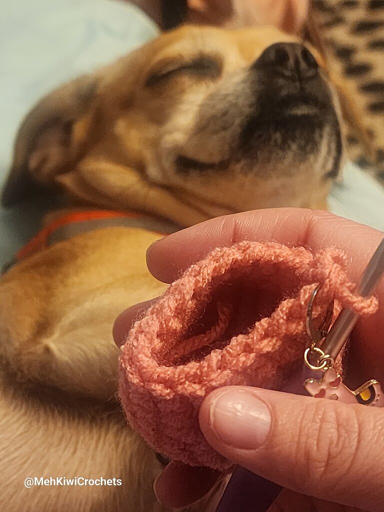 Crochet buddies - goodvibes - Ribblr community
