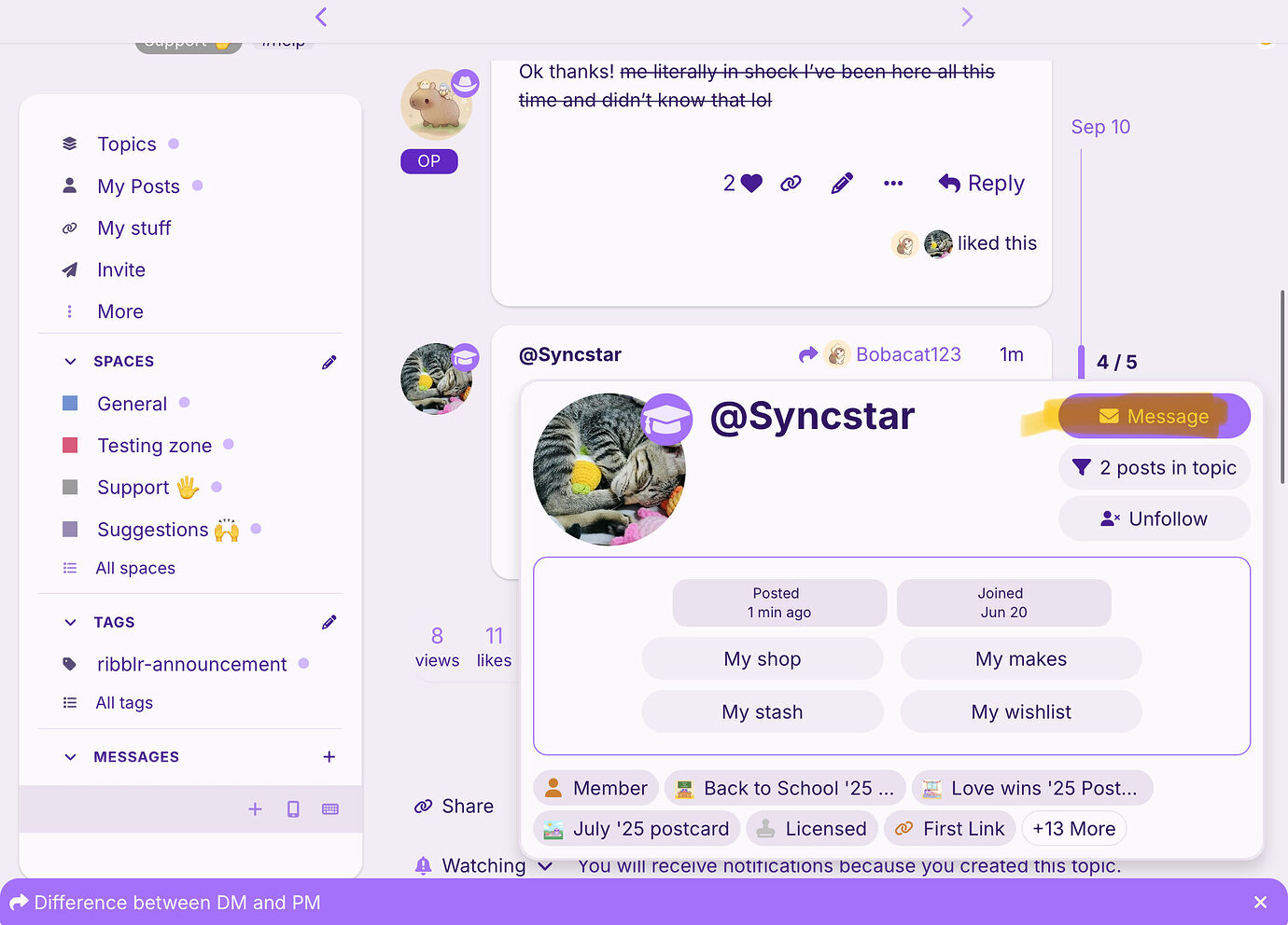 Difference between DM and PM - Support 🖐️ - Ribblr community