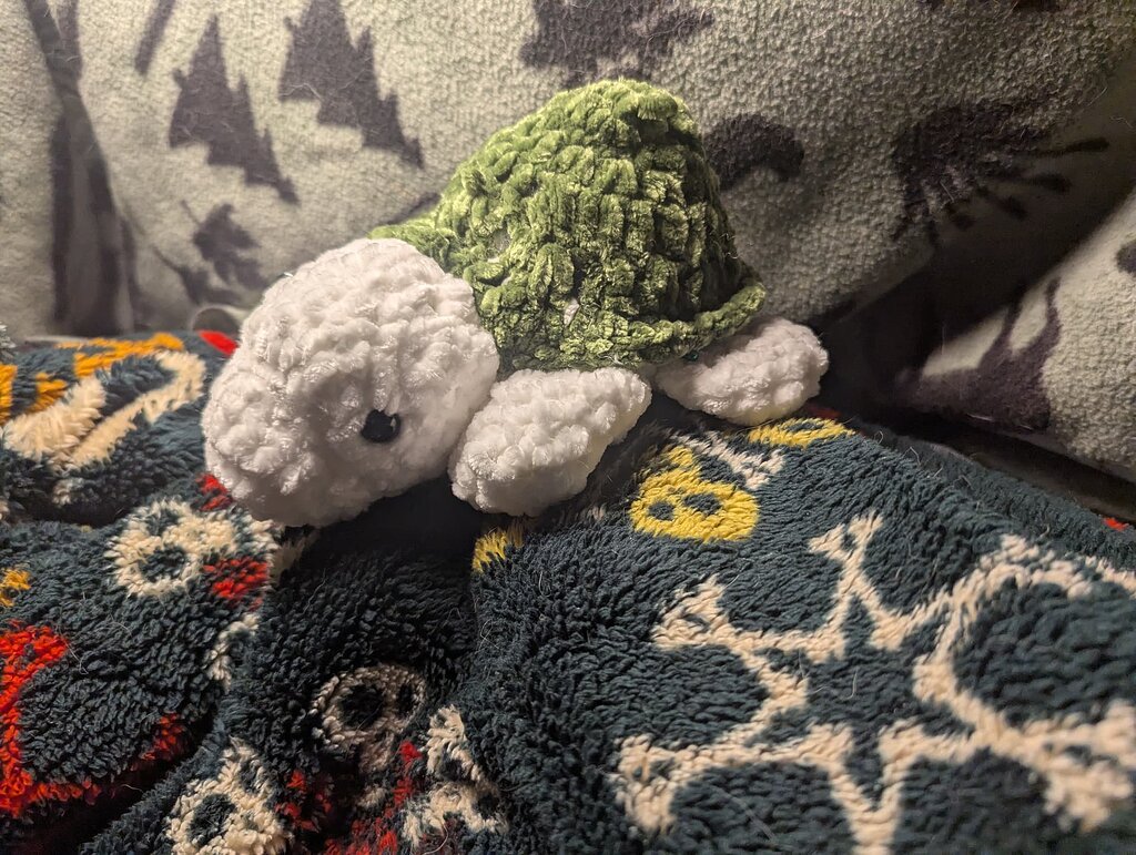 Mossy The Turtle 🐢 - Crochet 🧶 - Ribblr community