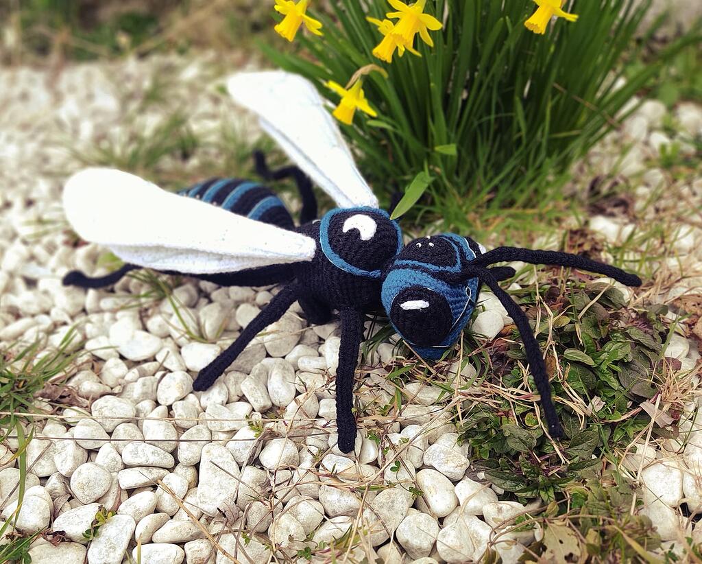 Night wasp: Pattern release and testers appreciation - Crochet 🧶 ...