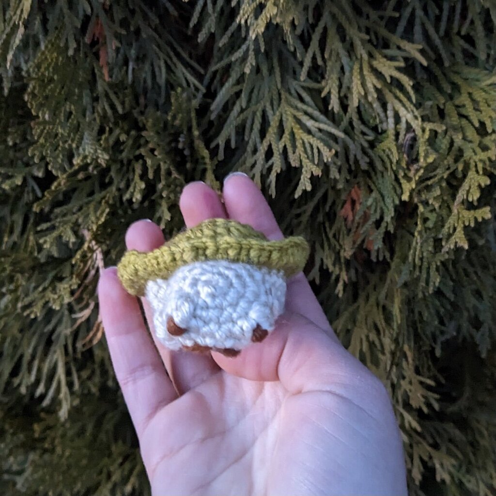 Tester call for Crochet: Timmy the grumpy tortoise! - Testing zone ...