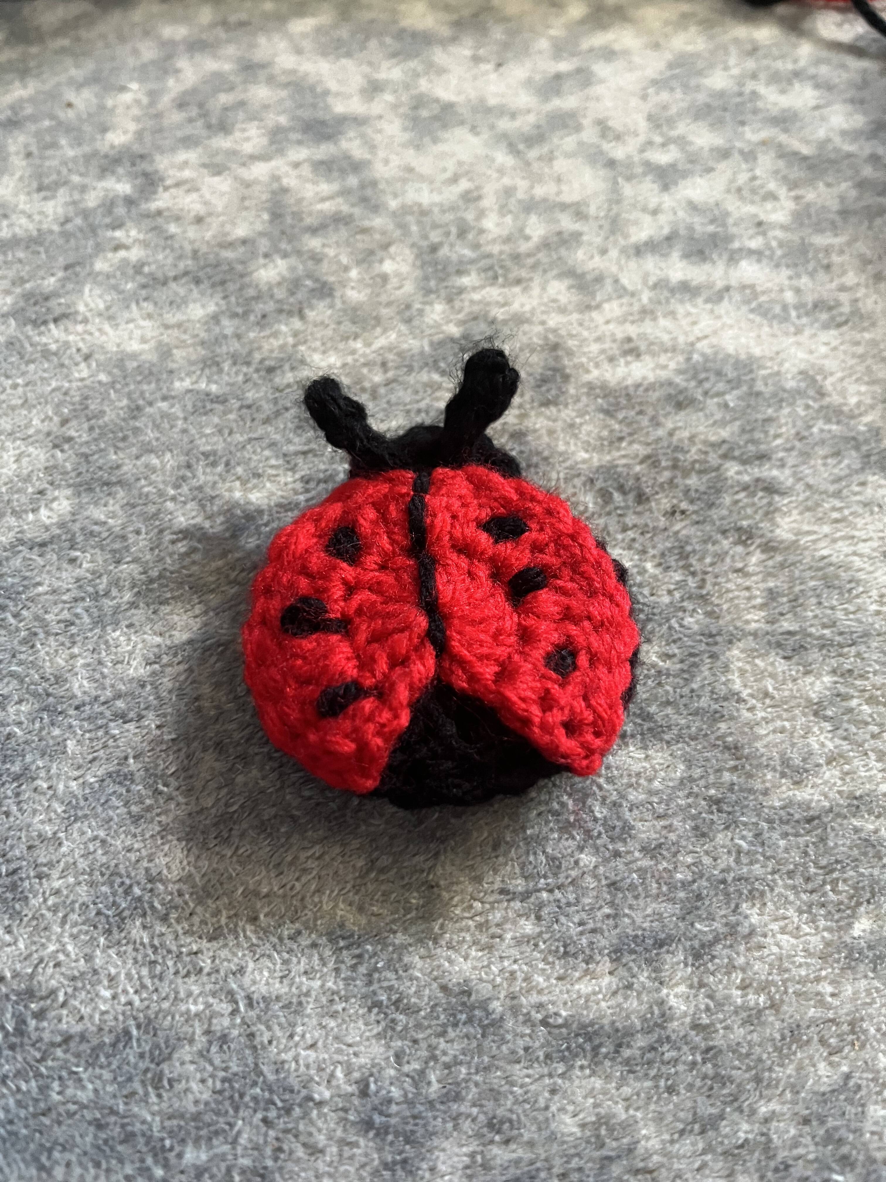 LadyBug fidget snapper ASMR - Crochet 🧶 - Ribblr community