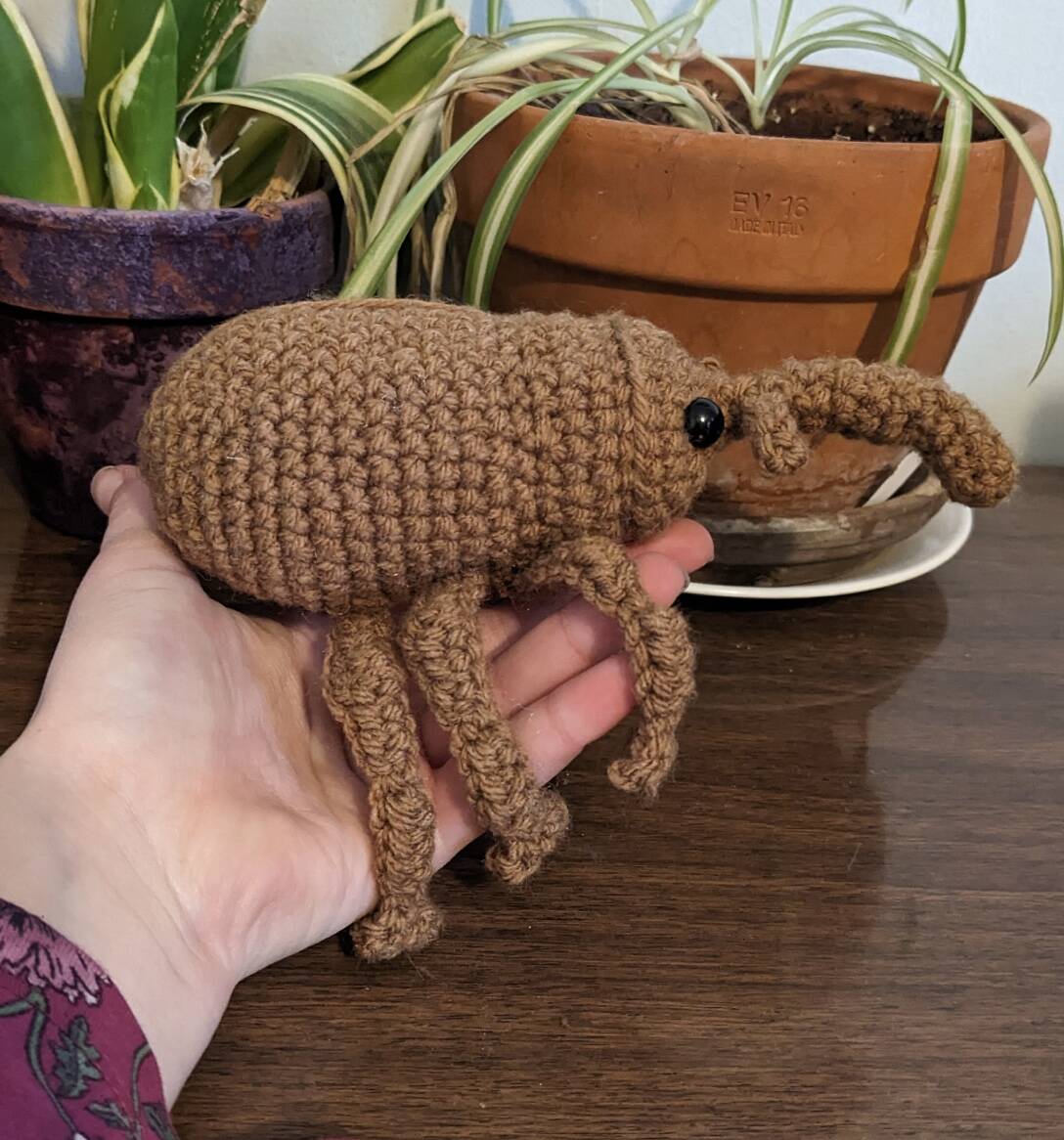 [Closed] Tester call for Crochet: Willy the Weevil!(willing to extend ...