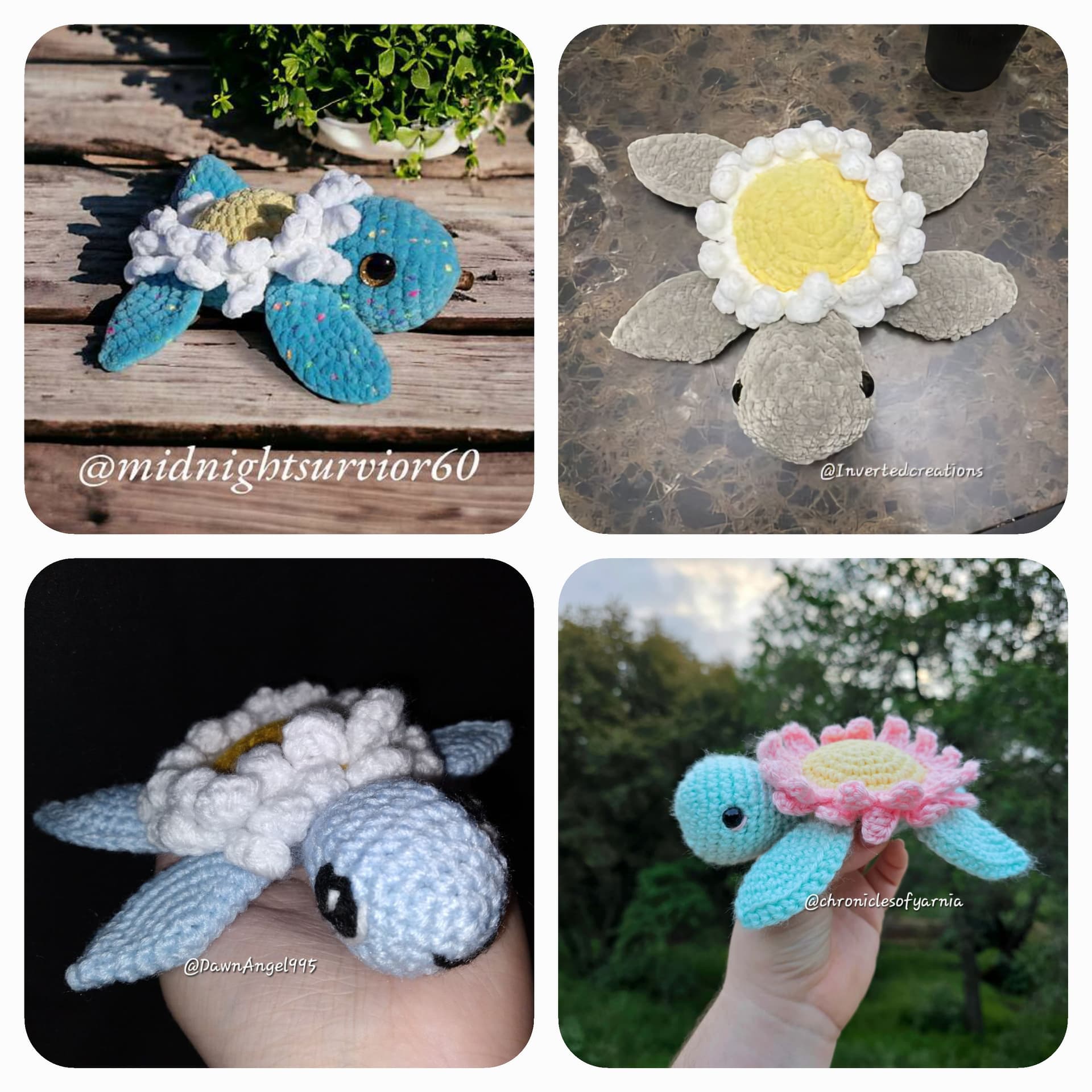 Fiore Turtle with Daisy Pattern Release - Crochet 🧶 - Ribblr community