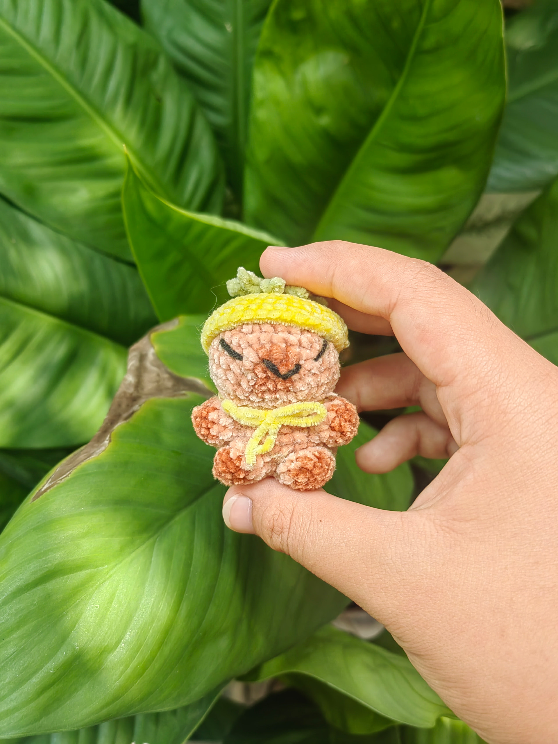 Tester call for Crochet: No-Sew Bookworm Butterfly Crochet Pattern ...