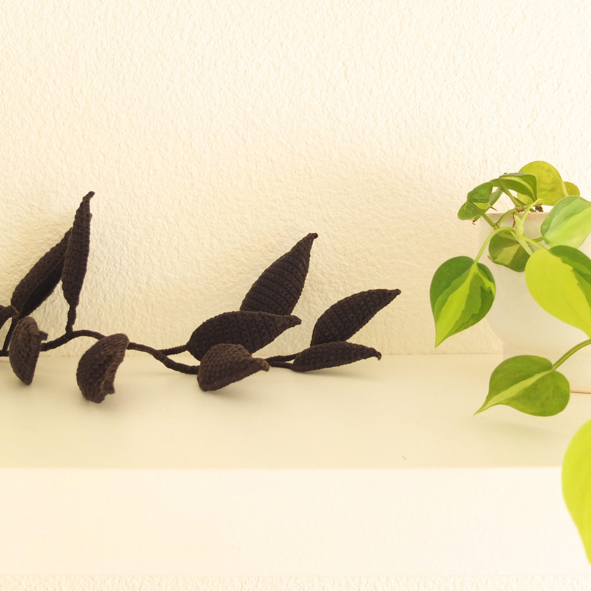 [closed] Tester call for Crochet: Scindapsus Treubii Dark - Testing ...