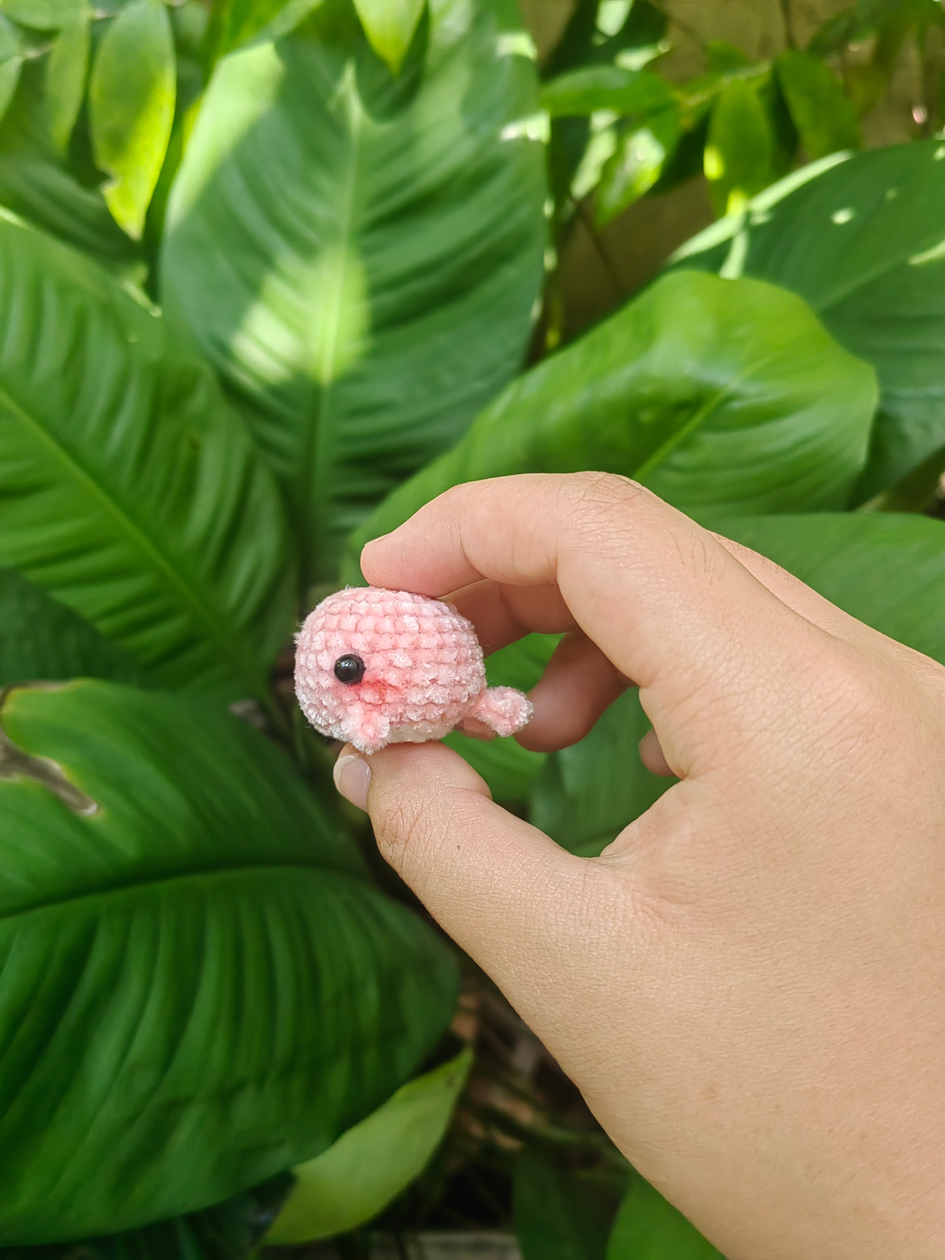 Tester call for Crochet: No-Sew Bookworm Butterfly Crochet Pattern ...