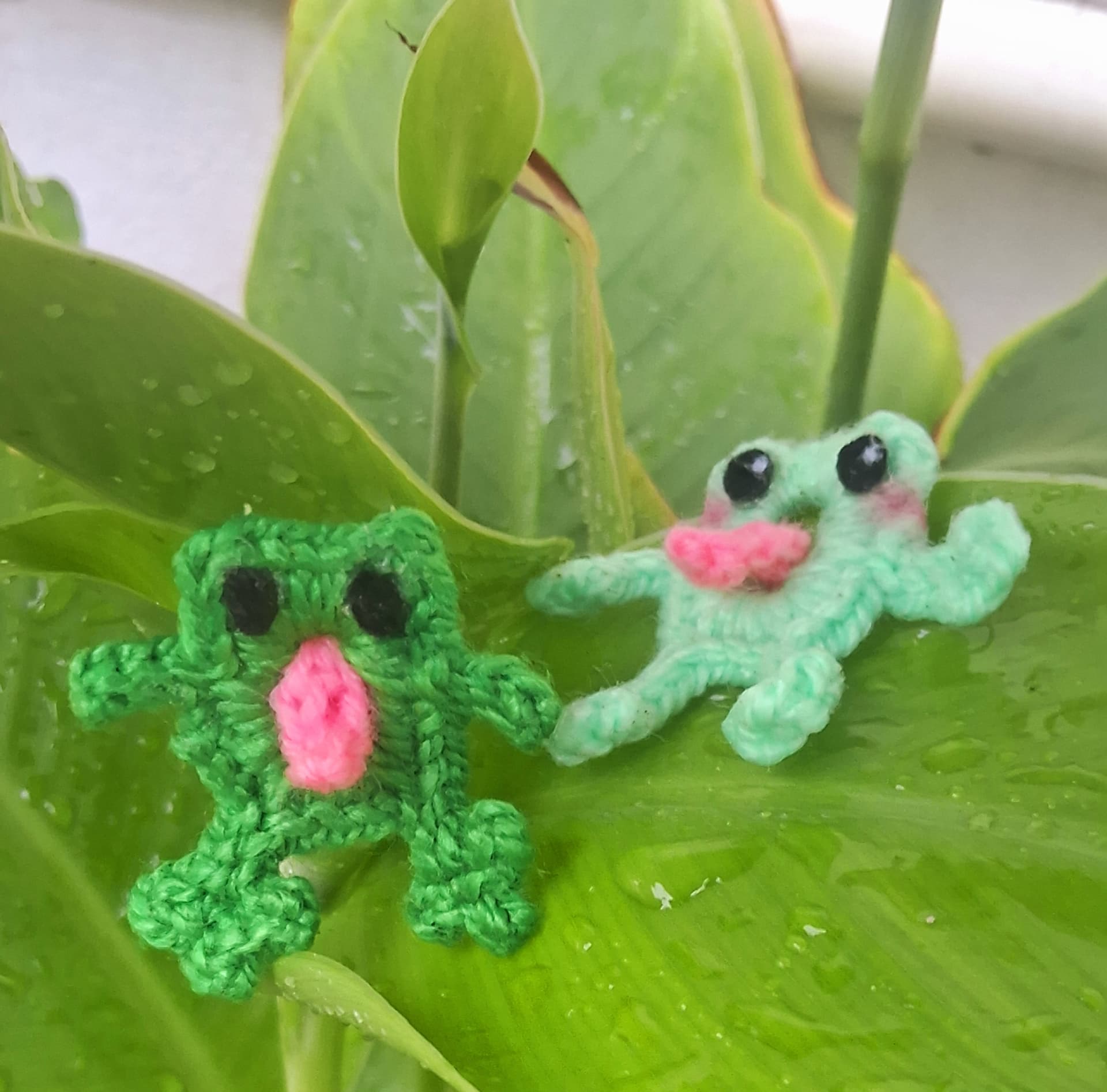 My New Obsession--> Soda Tab Frogs 🐸 - Crochet 🧶 - Ribblr community