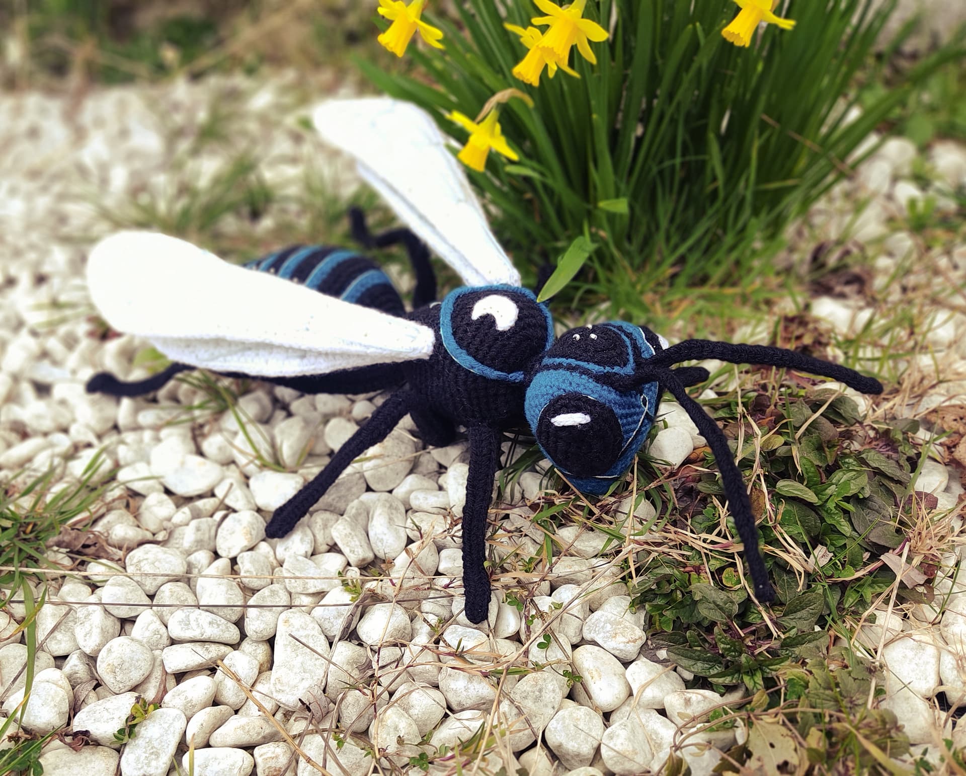 Night wasp: Pattern release and testers appreciation - Crochet 🧶 ...