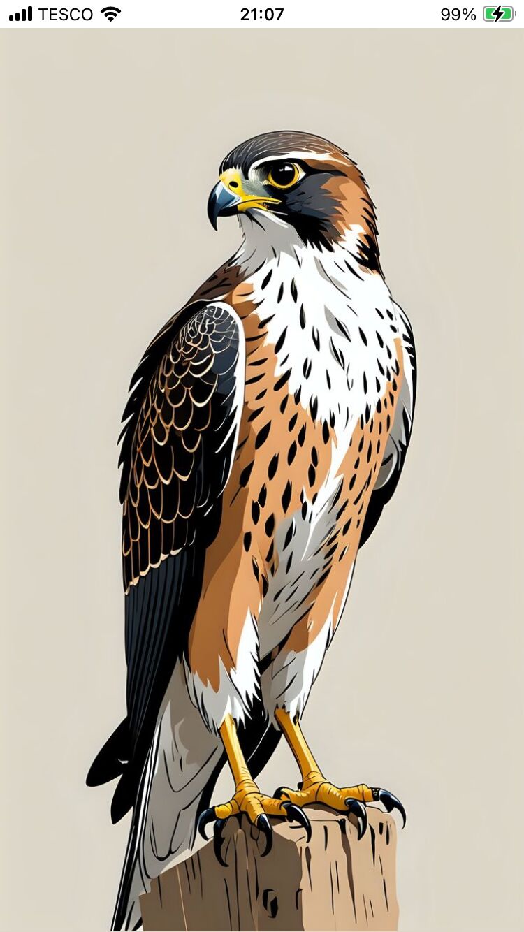 My shop pfp - Design studio - Ribblr community