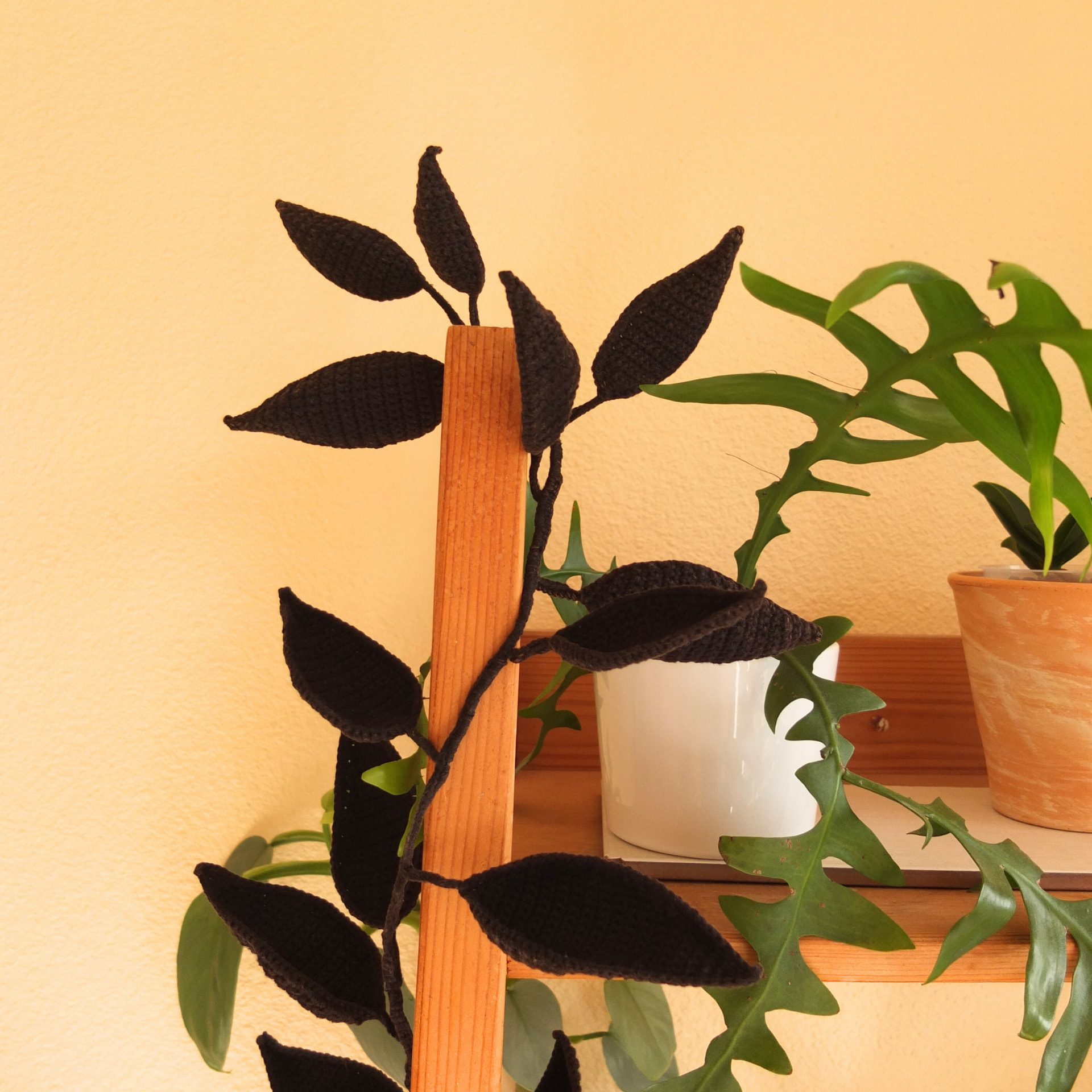 [closed] Tester call for Crochet: Scindapsus Treubii Dark - Testing ...