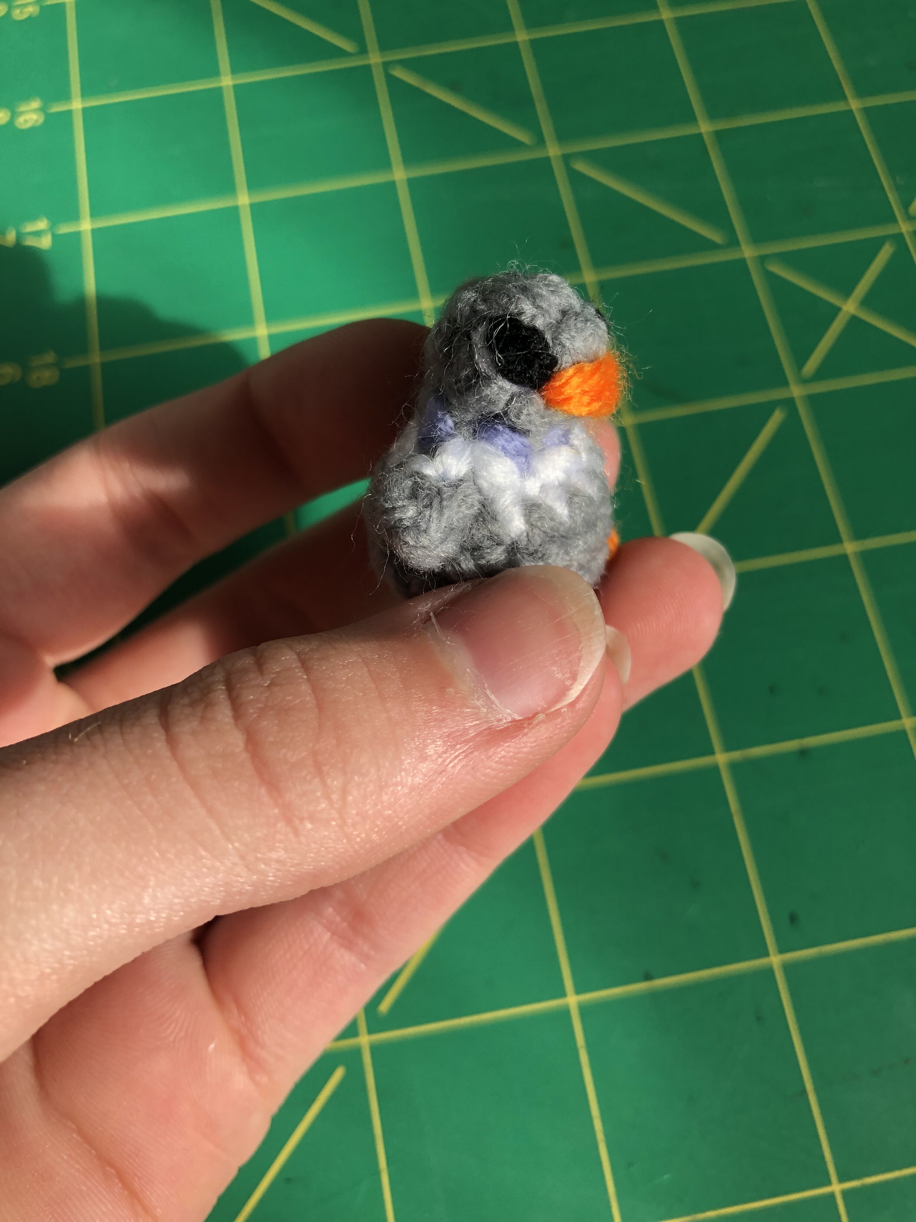 Tester call for : Peter the small pigeon pal closed - Testing zone ...